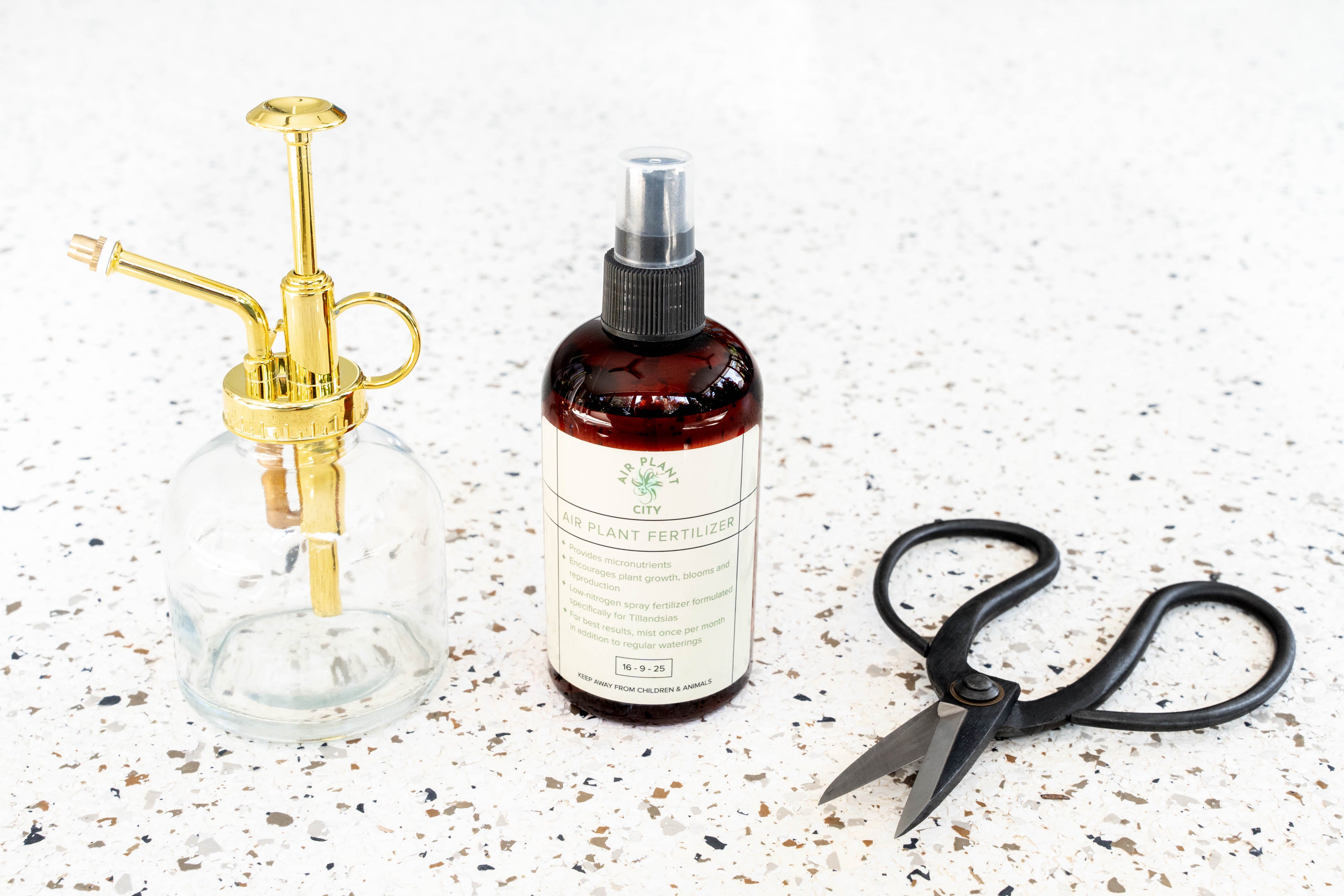 Set of Tillandsia Air Plant Tools – Air Plant City