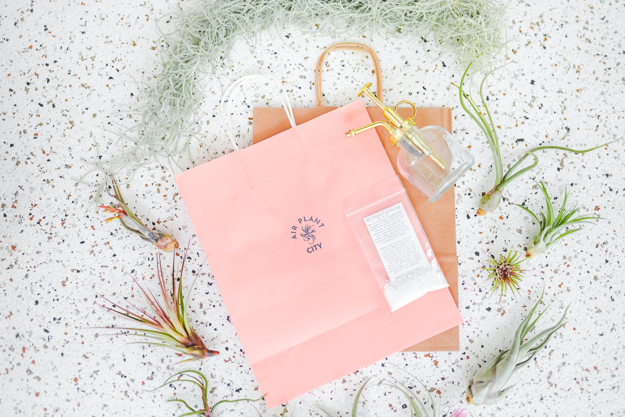 Air Plants Gift Bag Set - 10 Tillandsia, Fertilizer & Mister – Air ...